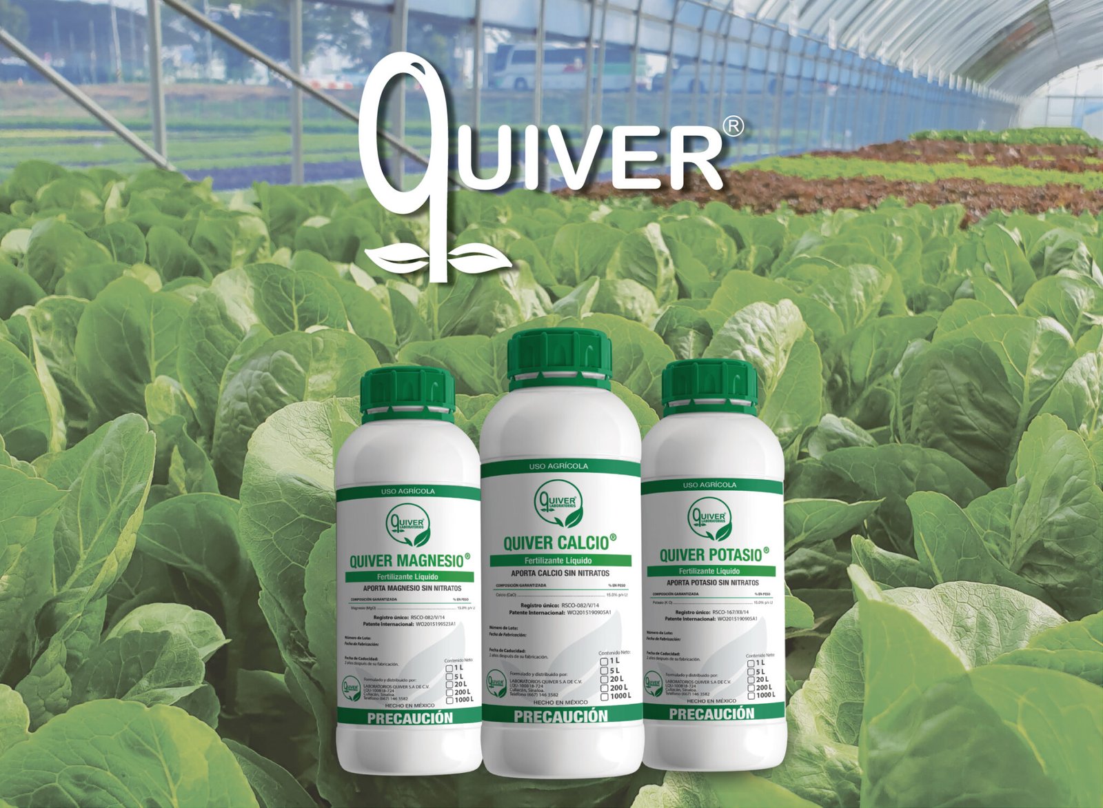 Qagri